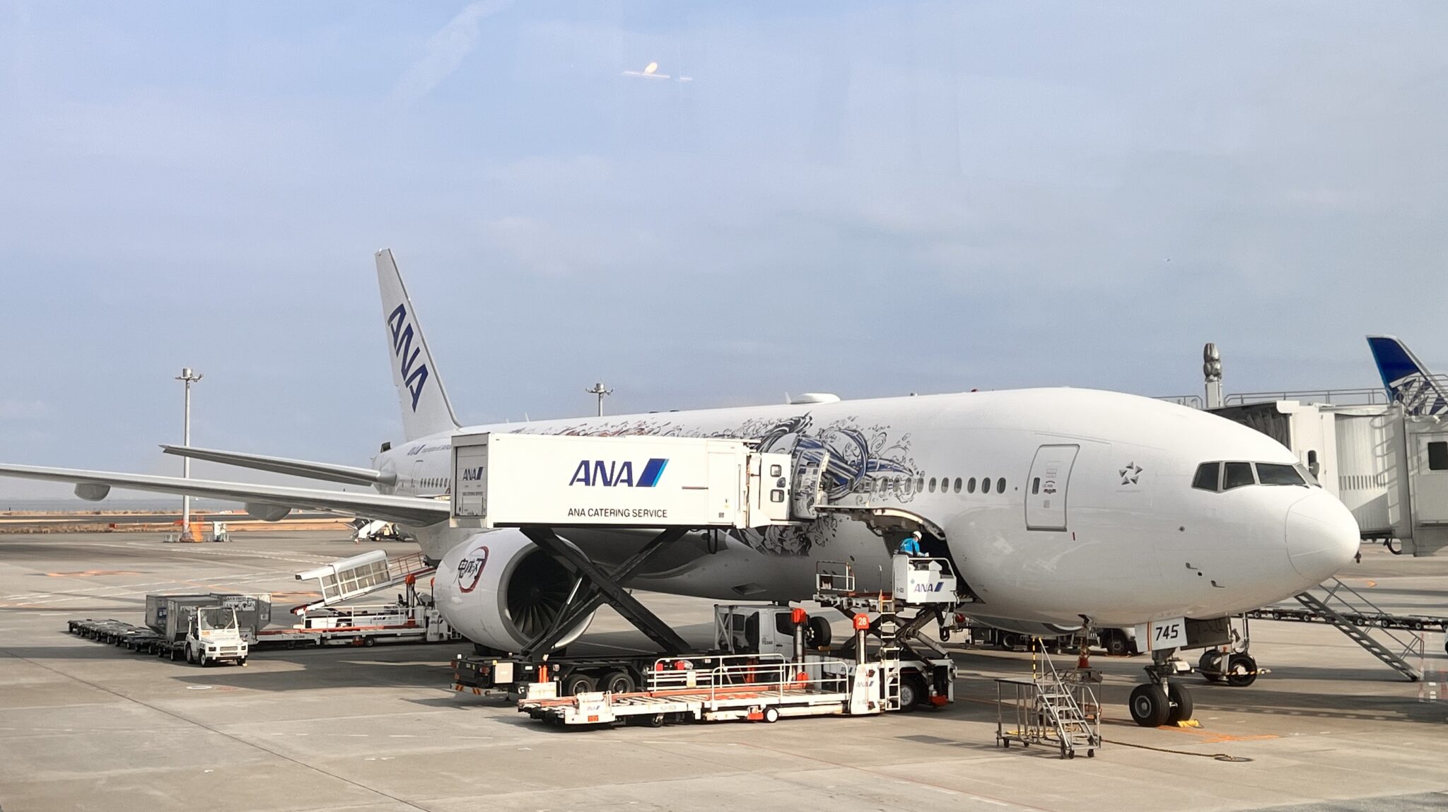 ボーイング787-8（78P）のおすすめ座席はここ！Part3～やっぱりこの座席が好き！～ANA国内線～ | おつかれ頭の整理箱