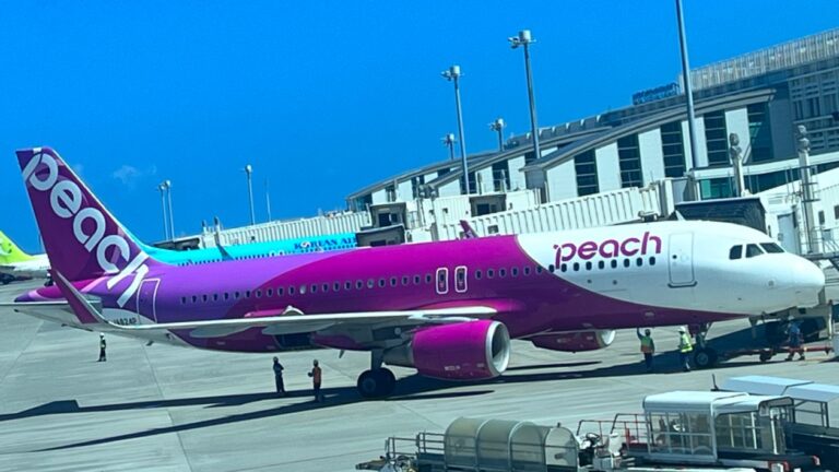 【Peach搭乗レポ】チェックインや乗り心地はどう？LCCの利用手順を実体験で紹介 | おつかれ頭の整理箱